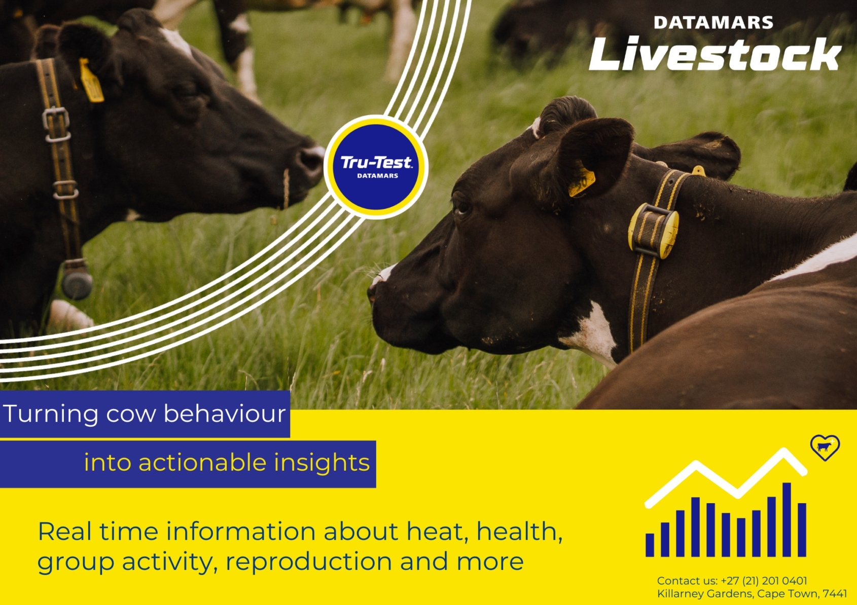 Z2 NO-TEAR-TAGS™ - Livestock Ear Tags South Africa